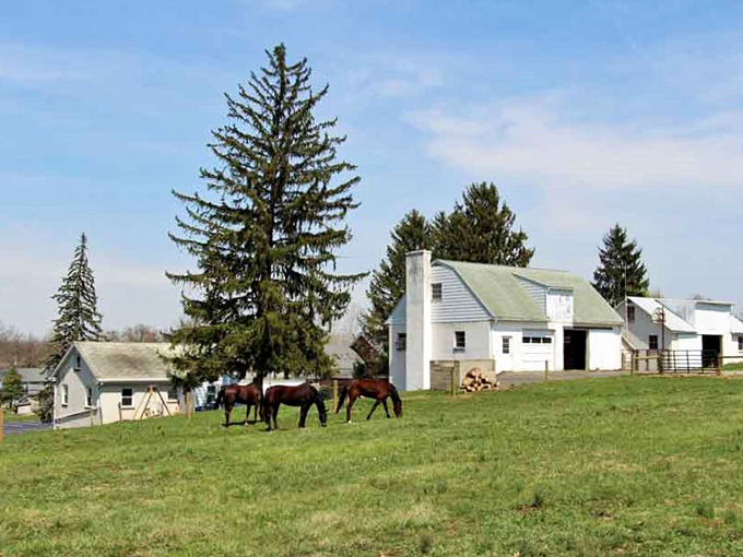 Horses graze peacefully in pastures that look like they were painted by Norman Rockwell himself.