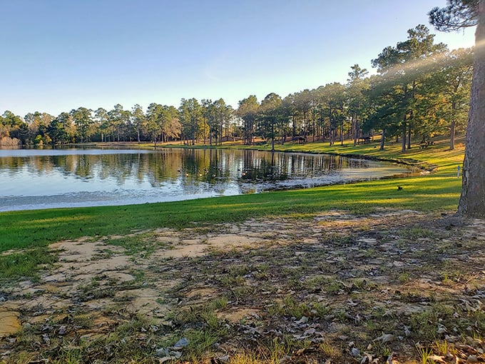 Paul B Johnson State Park: Where Mississippi suddenly decides to show off its hidden mountain spirit. Those reflections are nature's own Photoshop magic!