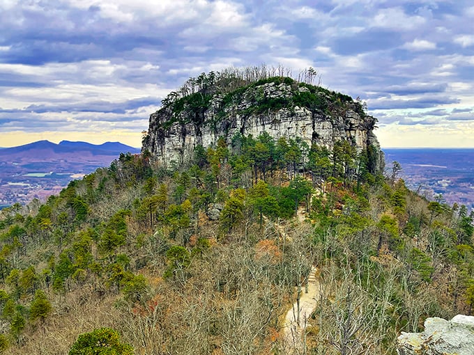 From this summit, the world spreads out below like a patchwork quilt of green and gold.