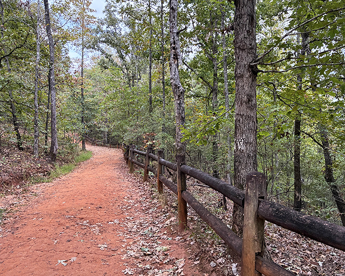 The red clay trail winds through Providence Canyon like nature's welcome mat. A peaceful forest path invites exploration.