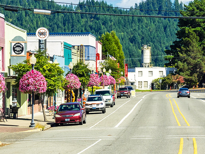 Those hanging flower baskets transform an ordinary street into something worthy of a postcard.