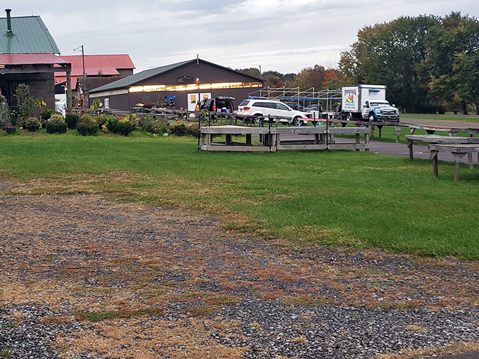 Rice's Market sprawls across grassy fields where vendors set up shop under open skies. The perfect backdrop for Sunday morning treasure hunting.