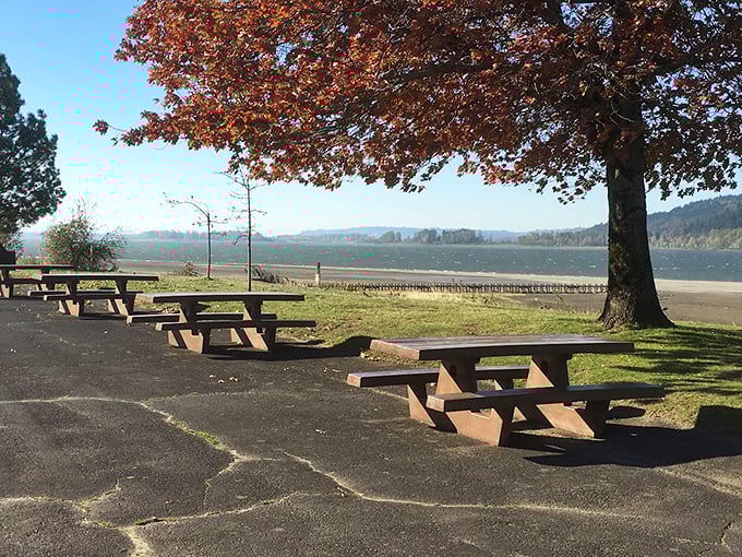 The Columbia River stretches toward the horizon at Rooster Rock. Water, mountains, sky &ndash; Oregon's triple threat.