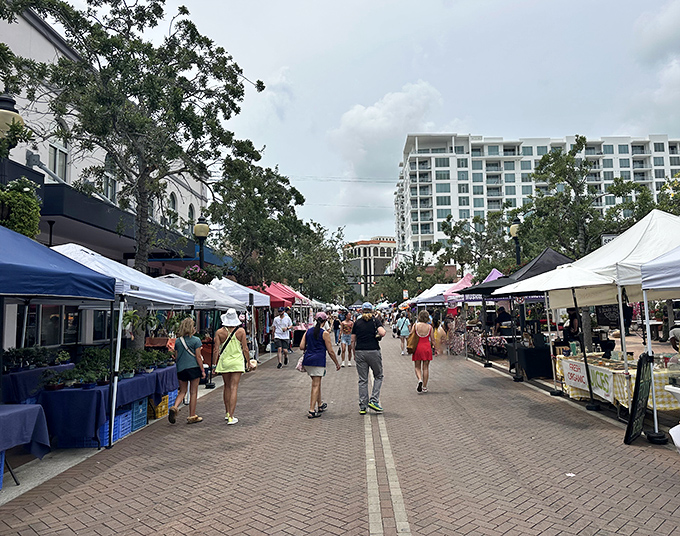 Sarasota's market transforms ordinary sidewalks into a vibrant community gathering spot. That Florida sky is the perfect shopping companion!