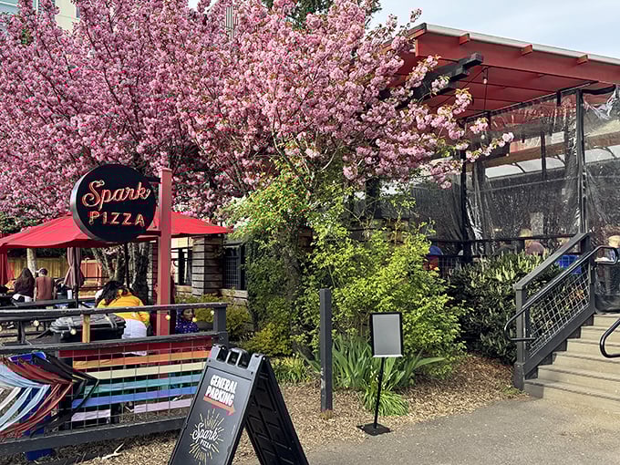 Cherry blossoms frame Spark Pizza's colorful outdoor seating&mdash;Mother Nature's way of saying "eat here now!"