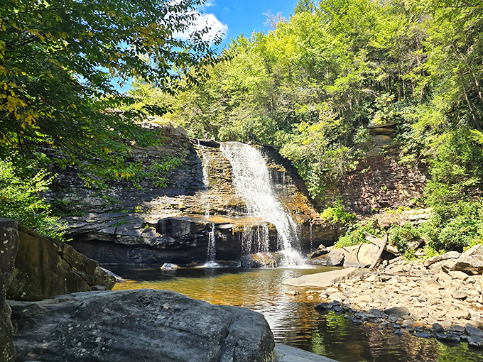 Water cascades over ancient rock at Swallow Falls, creating nature's own symphony. The perfect backdrop for your next profile picture!