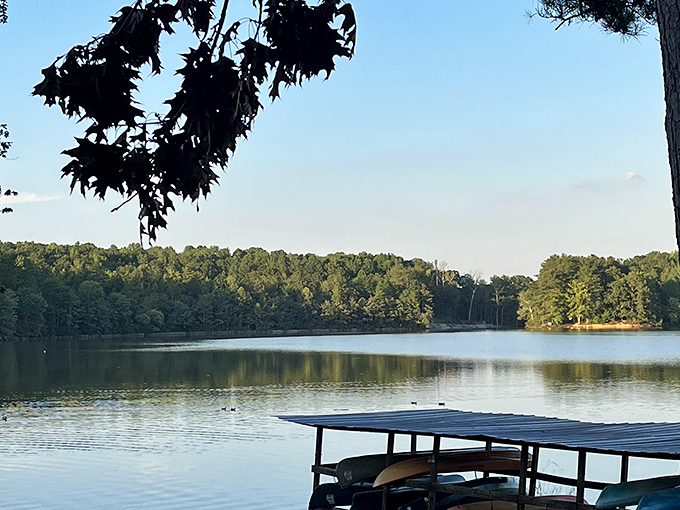 A hidden forest oasis just minutes from Atlanta's hustle, where Sweetwater Creek's gentle current whispers stories of the past.