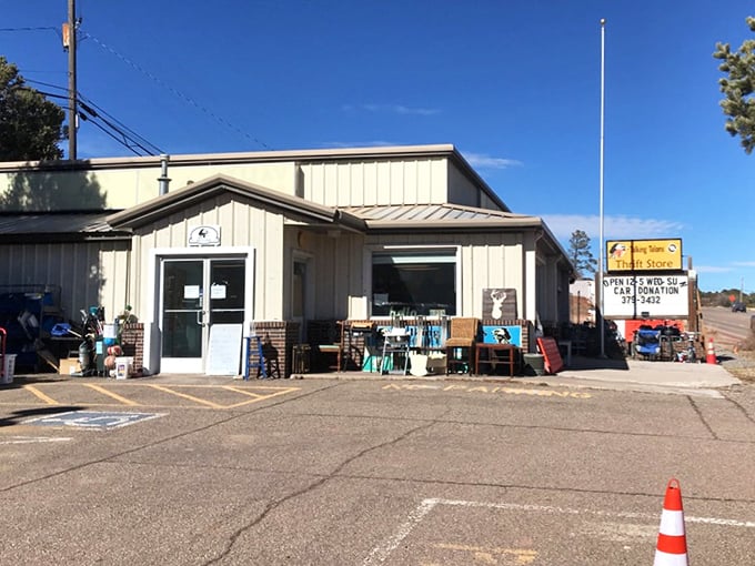 Where bargains and good causes meet under the New Mexico sky. Talking Talons' simple storefront belies the wonderland of finds inside.