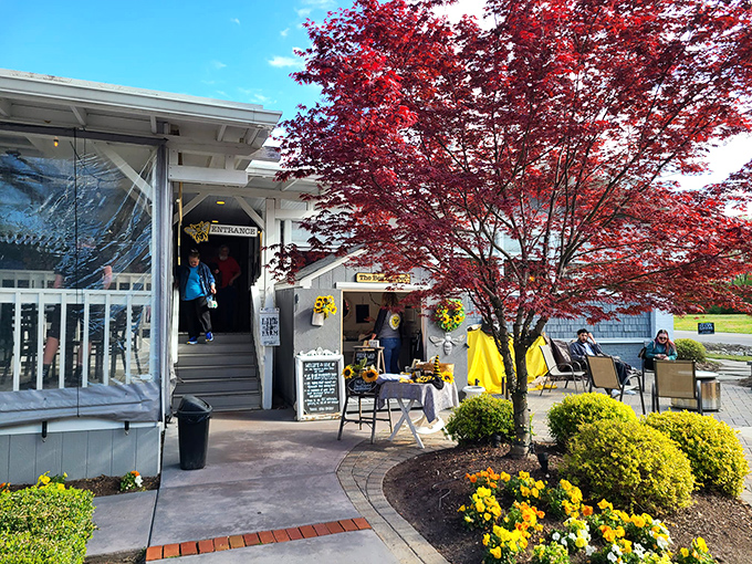 Craftsman-style charm with a splash of yellow—this isn't just a house, it's a biscuit paradise in disguise.