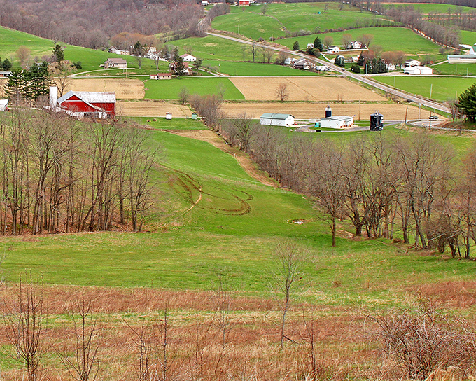 Rolling hills stretch to the horizon in Holmes County. This patchwork quilt of farms tells stories of generations working the land.