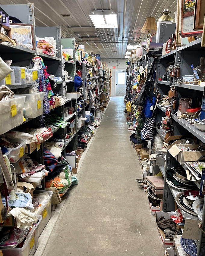 The treasure hunter's yellow brick road. Every aisle at Shaggy's is a journey through America's collective attic.