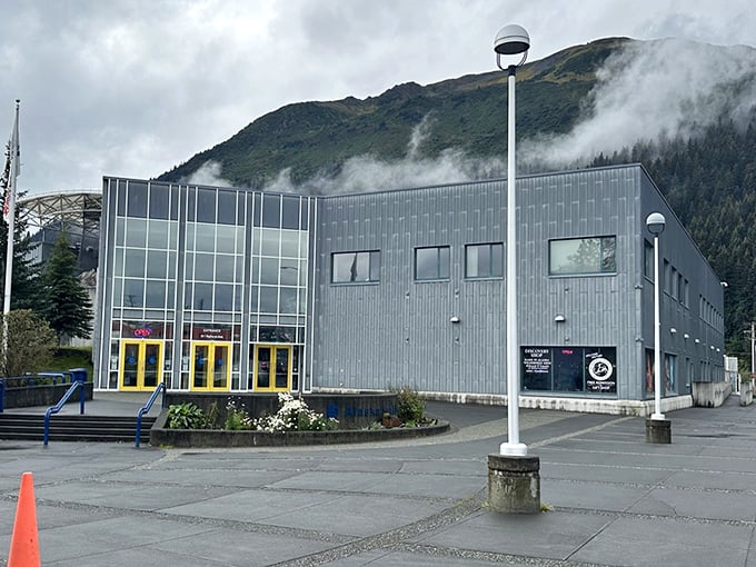 The Alaska SeaLife Center isn't just a building&mdash;it's where science and wonder high-five each other daily against a backdrop of misty mountains.
