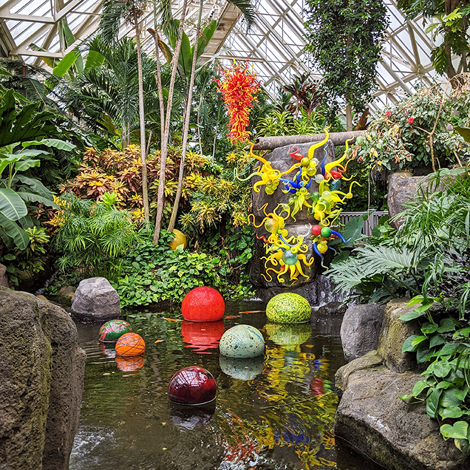 Chihuly's glass masterpieces play hide-and-seek with tropical plants. These colorful orbs transform an ordinary pond into an underwater fantasy.
