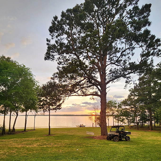 Sunset over Lake Nacogdoches paints the sky in colors no filter could improve. Nature's own evening show, complete with front-row seating.