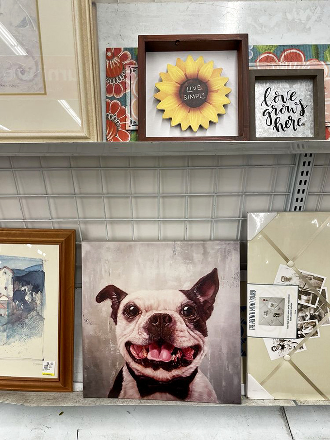 Wall art that speaks volumes: from smiling Boston Terriers to sunflowers reminding us to "Live Simply" in our complicated world.