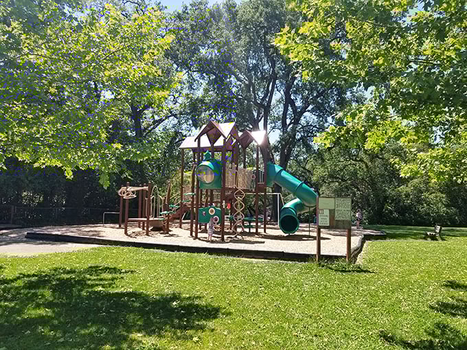 Ashford Park's playground equipment might be for kids, but those benches are perfect for grandparent supervision duty.