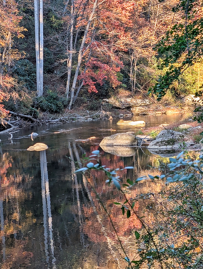 Autumn's masterpiece reflected in Deer Creek's mirror-like surface. Even Monet would put down his brush and just take a photo.