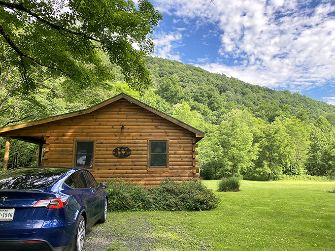This log cabin retreat isn't playing hard to get &ndash; it's just hiding in plain sight among emerald hills.
