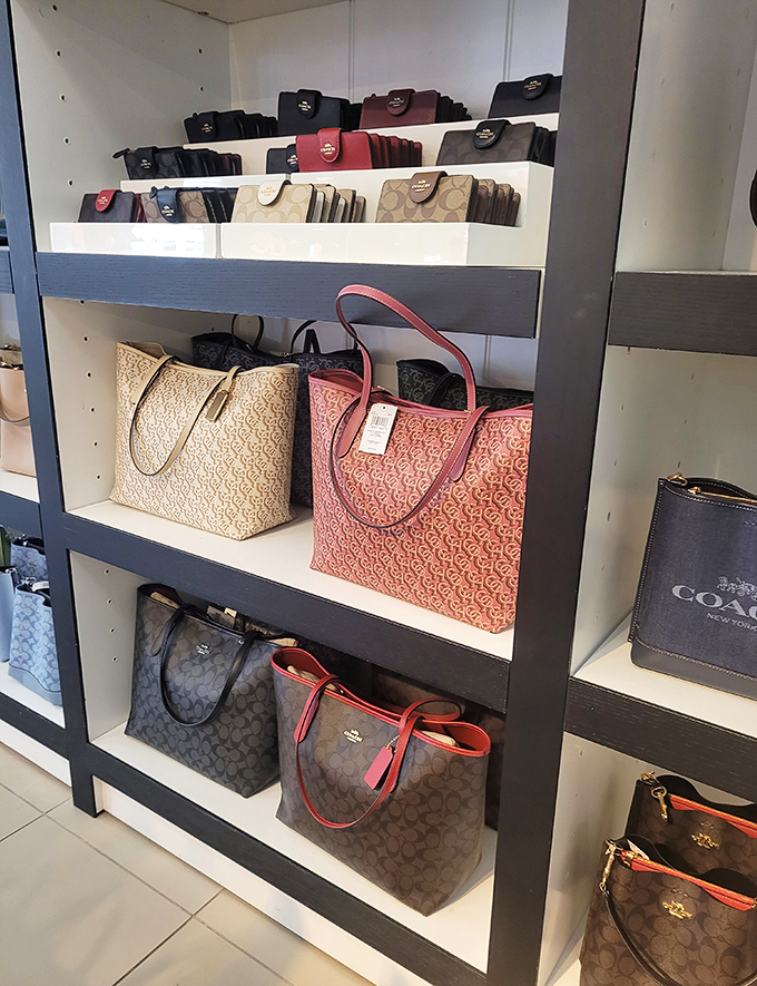 Designer dreams within reach! These Coach bags aren't just accessories &ndash; they're investment pieces that whisper "sophistication" without screaming "I paid full price."