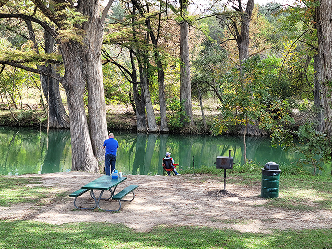 The Medina River offers peaceful respite from Texas heat, where cypress trees stand guard and picnic tables await your Hill Country feast.