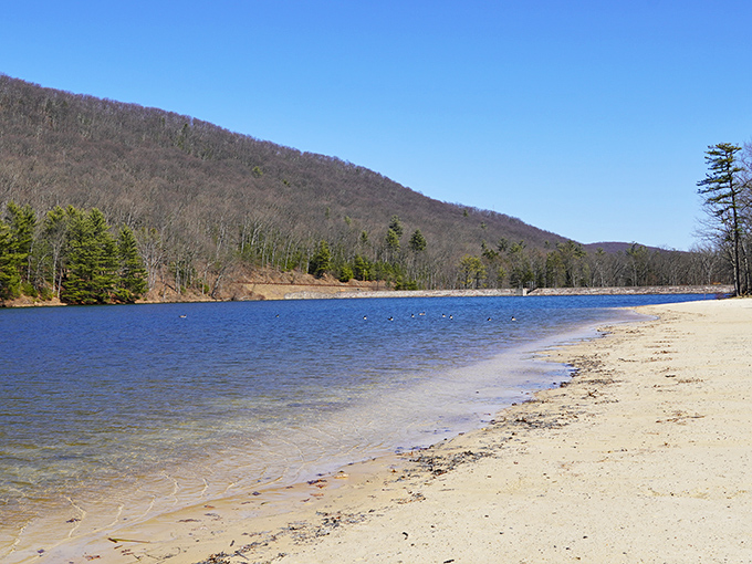 Poe Valley's sandy beach meets crystal-clear waters beneath mountain shadows. Mother Nature's swimming pool comes with a view no resort can match.