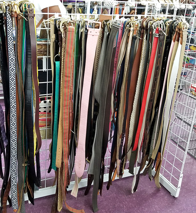 The belt display resembles a leather rainbow, each one telling a different story and waiting for its second chapter.