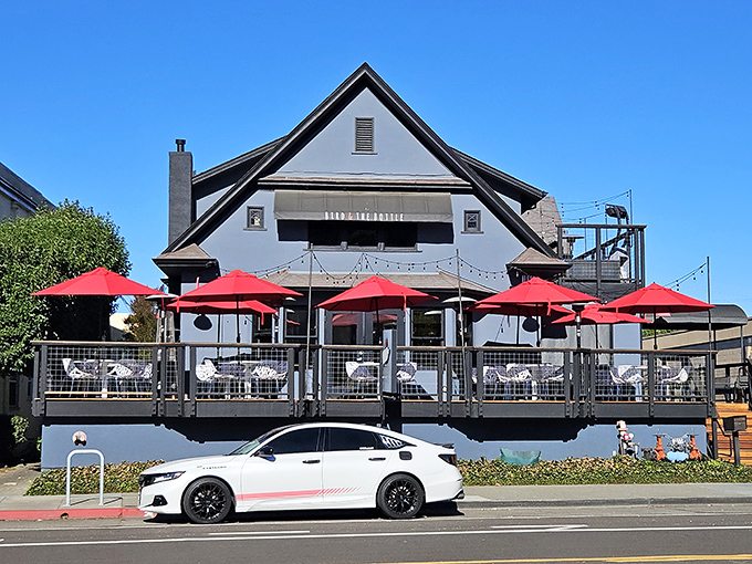 The Bird & The Bottle's inviting patio with its cheerful red umbrellas practically screams "come sit here with a glass of local wine and watch the world go by."