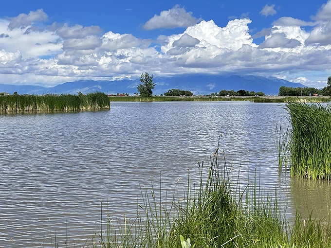Mother Nature showing off at Blanca Vista Park, where the mountains seem to rise directly from the water. Colorado's version of a meditation app, but infinitely more effective.
