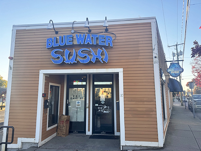 Who'd expect world-class sushi in small-town Massachusetts? Blue Water Sushi proves culinary treasures often hide in the most unassuming packages.