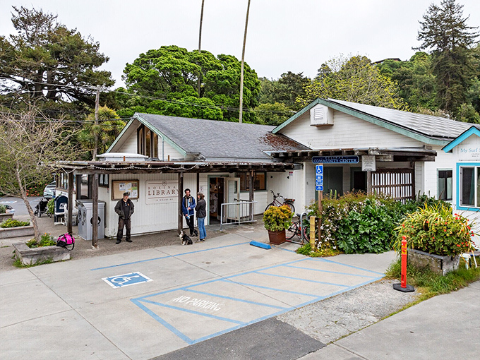 The Bolinas Library isn't just about books&mdash;it's the community's living room where locals swap stories as readily as paperbacks.