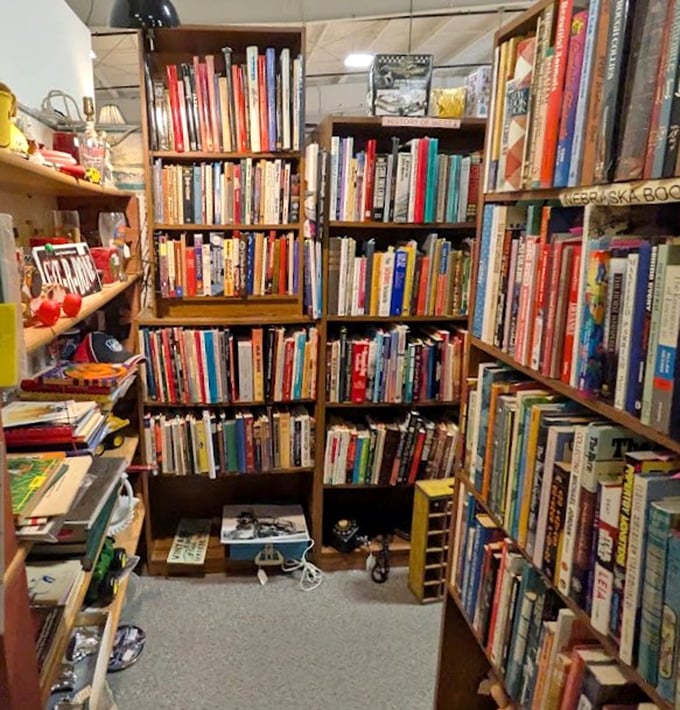 A bibliophile's dream come true! These shelves hold everything from forgotten classics to quirky cookbooks that your grandmother might have used. 