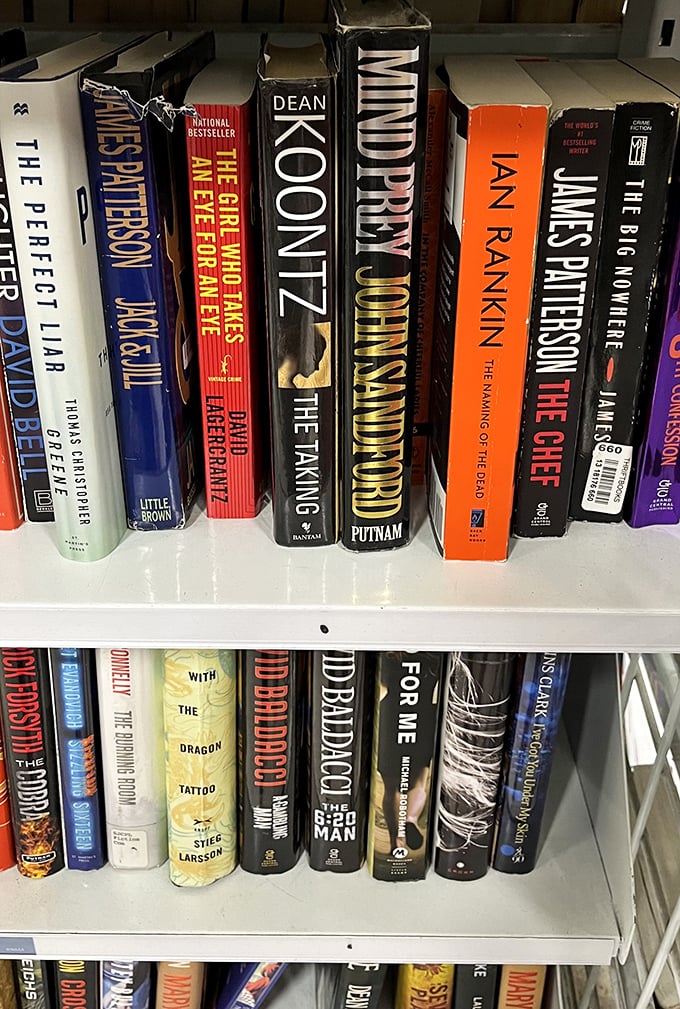 The literary corner at Savers&mdash;where bestsellers mingle democratically with classics, all priced less than a fancy coffee.