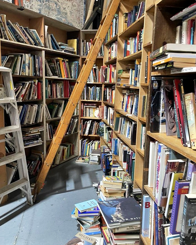 Literary chaos at its finest, where every spine holds someone's escape plan from reality.