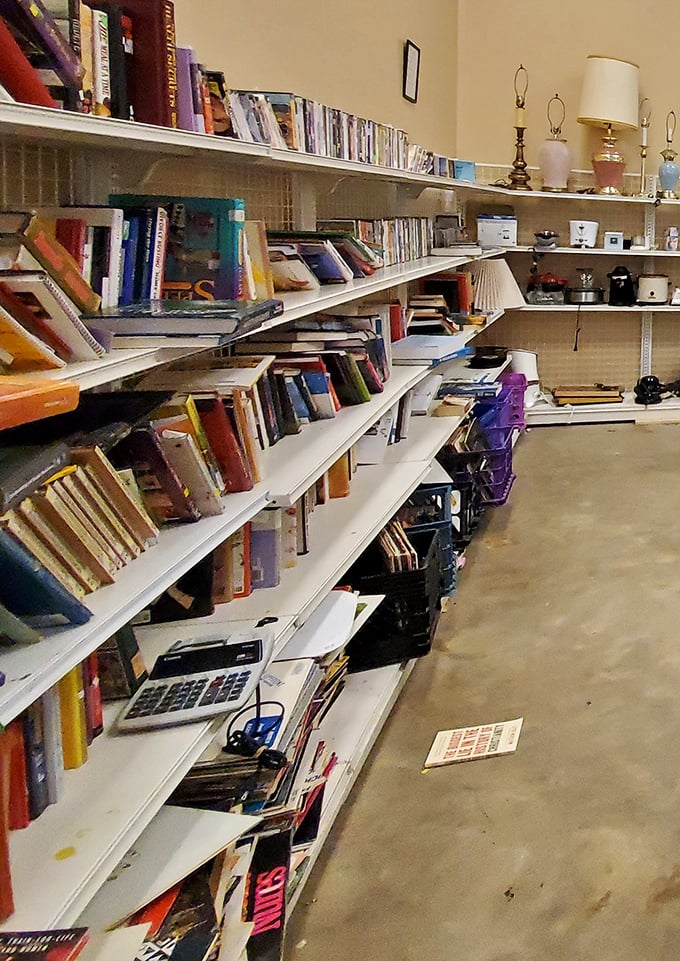 Bibliophiles beware &ndash; you might need to cancel your afternoon plans once you discover these shelves where forgotten stories await their next chapter in your home.