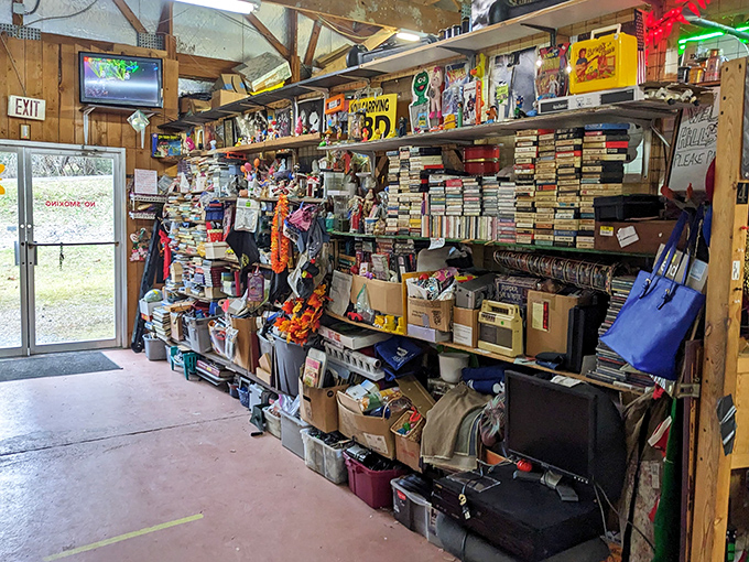 A bibliophile's dream come true! Stacks upon stacks of books, cassettes, and memorabilia create a fortress of nostalgia for the patient explorer.