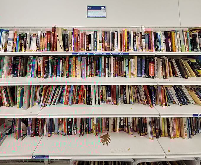 A library of forgotten bestsellers and hidden gems. Each spine tells two stories&mdash;the one inside and the journey that brought it here.