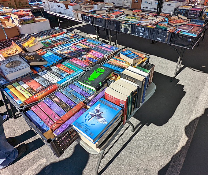 Bibliophiles, prepare your tote bags! Tables groan under literary treasures spanning every genre imaginable&mdash;someone's discarded mystery might become your new obsession.