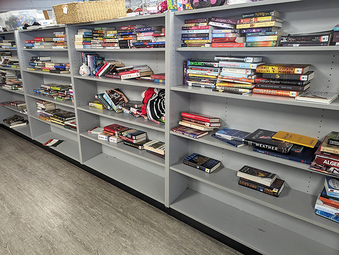 Bibliophiles rejoice! These shelves hold everything from forgotten bestsellers to quirky cookbooks that time (but not Goodwill) forgot.