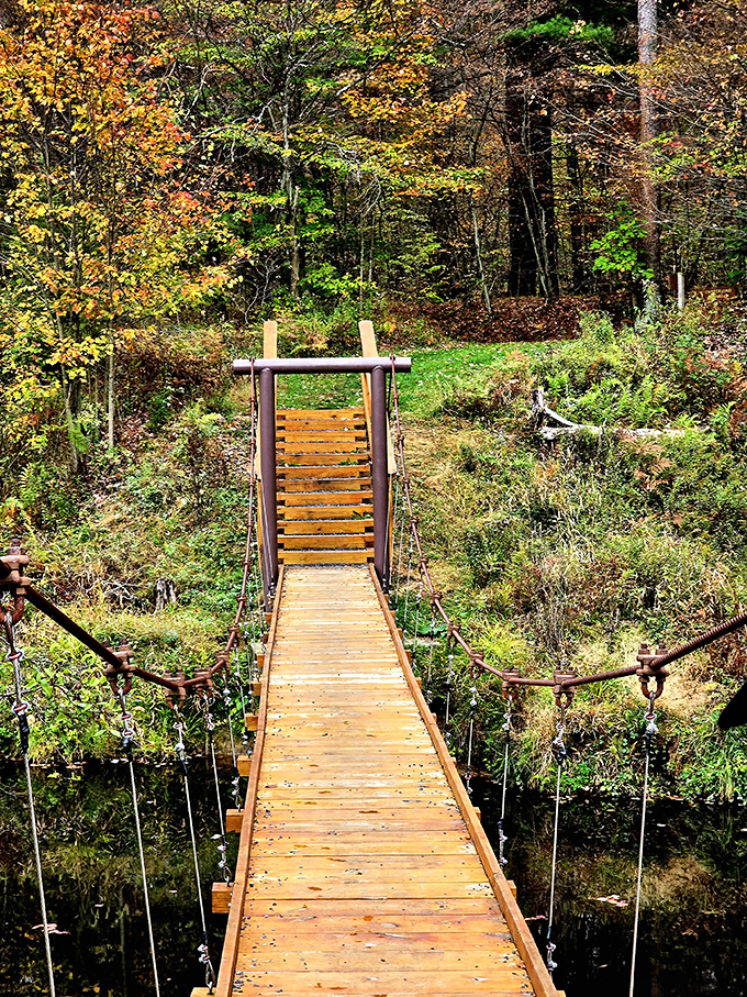 Adventure awaits across this wooden suspension bridge. Like Indiana Jones without the peril, this pathway promises exploration through autumn's paintbox.