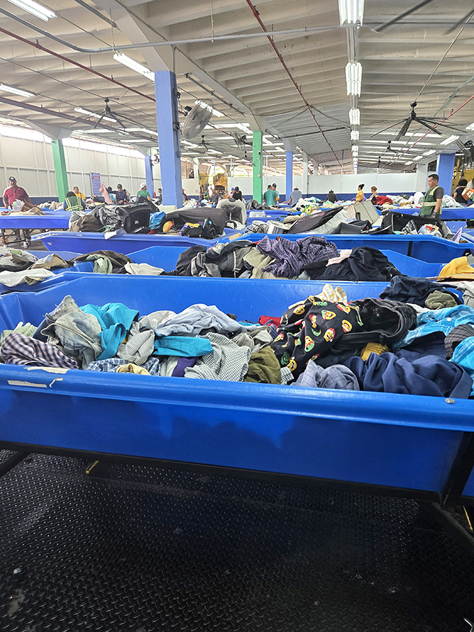 The famous blue bins &ndash; where bargain hunters dive deep for treasures priced by the pound. Textile archaeology at its finest!