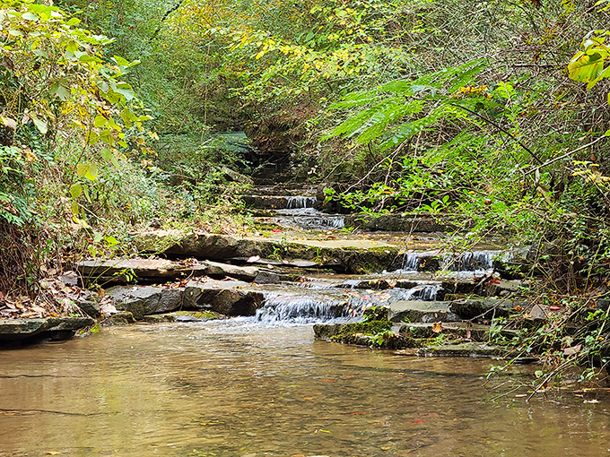 Step inside and you're transported to simpler times&mdash;the lattice work creating a dance of light and shadow across weathered wooden planks.
