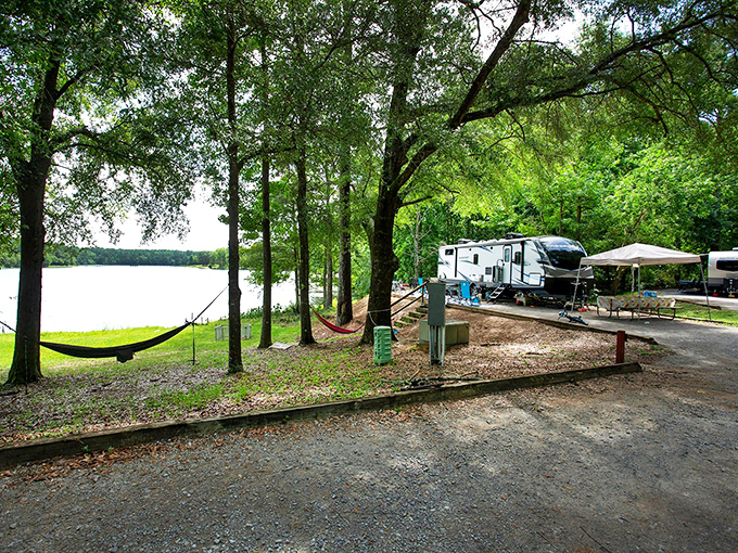 Lakeside camping spots where your morning coffee comes with a view that beats any postcard you've ever seen.