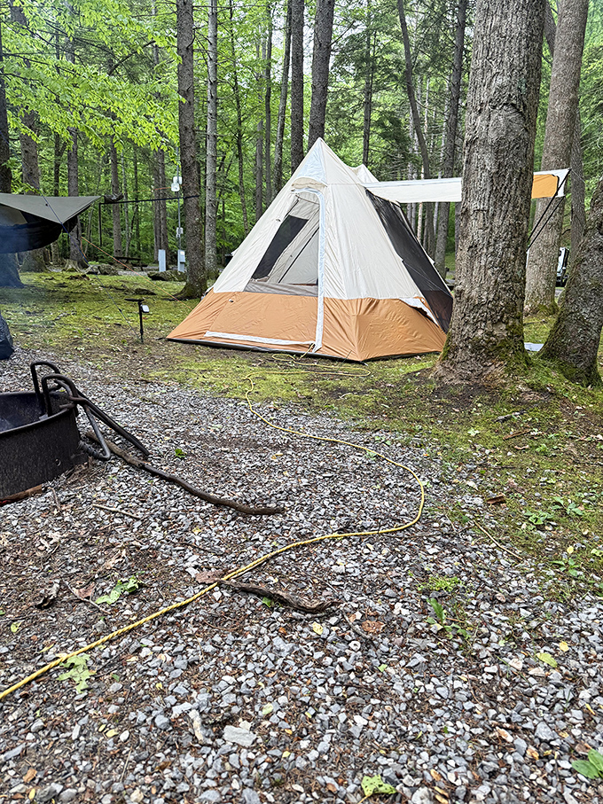Camping nirvana achieved! This tent site proves that sometimes the best five-star accommodations have actual stars overhead.
