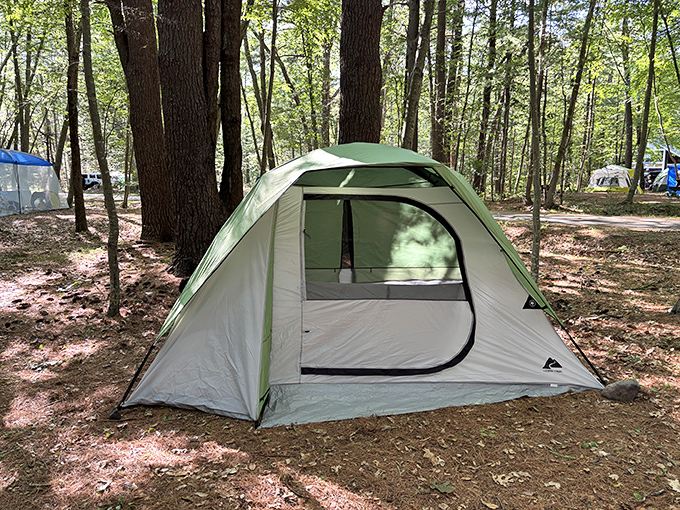 Canvas dreams under ancient trees&mdash;where s'mores taste better and sleep comes easier than any five-star hotel.