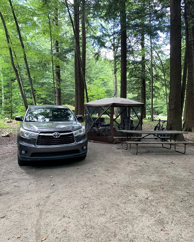 Camping nirvana: where your car, a screened sanctuary, and a picnic table create the perfect basecamp for Vermont adventures.