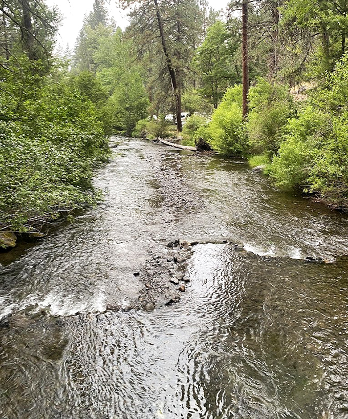 Catherine Creek's crystal waters – nature's version of a spa day, minus the awkward small talk.