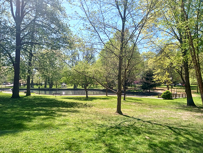 Central Park's serene pond offers an urban oasis where ducks have clearly negotiated better real estate deals than most humans ever will.