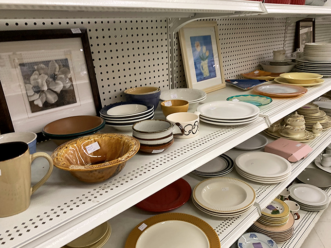 Each plate tells a story&mdash;from formal dinner parties to family breakfasts&mdash;waiting for its next chapter in your kitchen.
