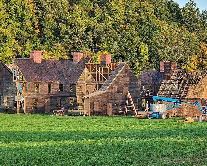 At Chase Farm, history isn't behind velvet ropes&mdash;it's being actively preserved, one weathered wooden plank at a time.