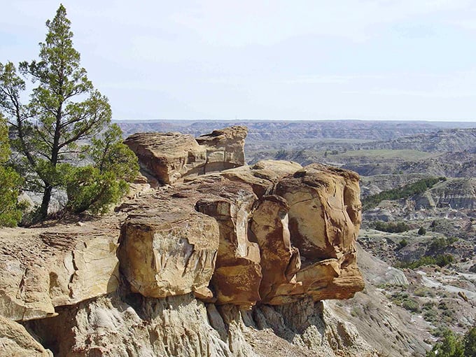 Mother Nature's wrinkles tell a 65-million-year story, each ridge and furrow a chapter in Earth's autobiography.